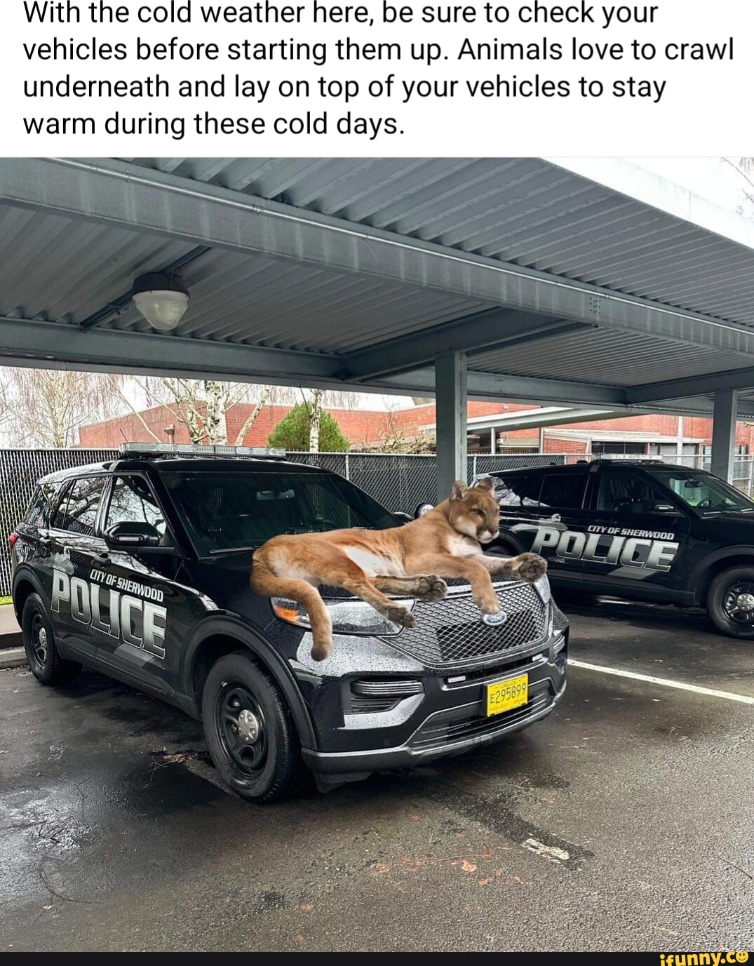 Video memes P376wrU9B by Heretias - iFunny