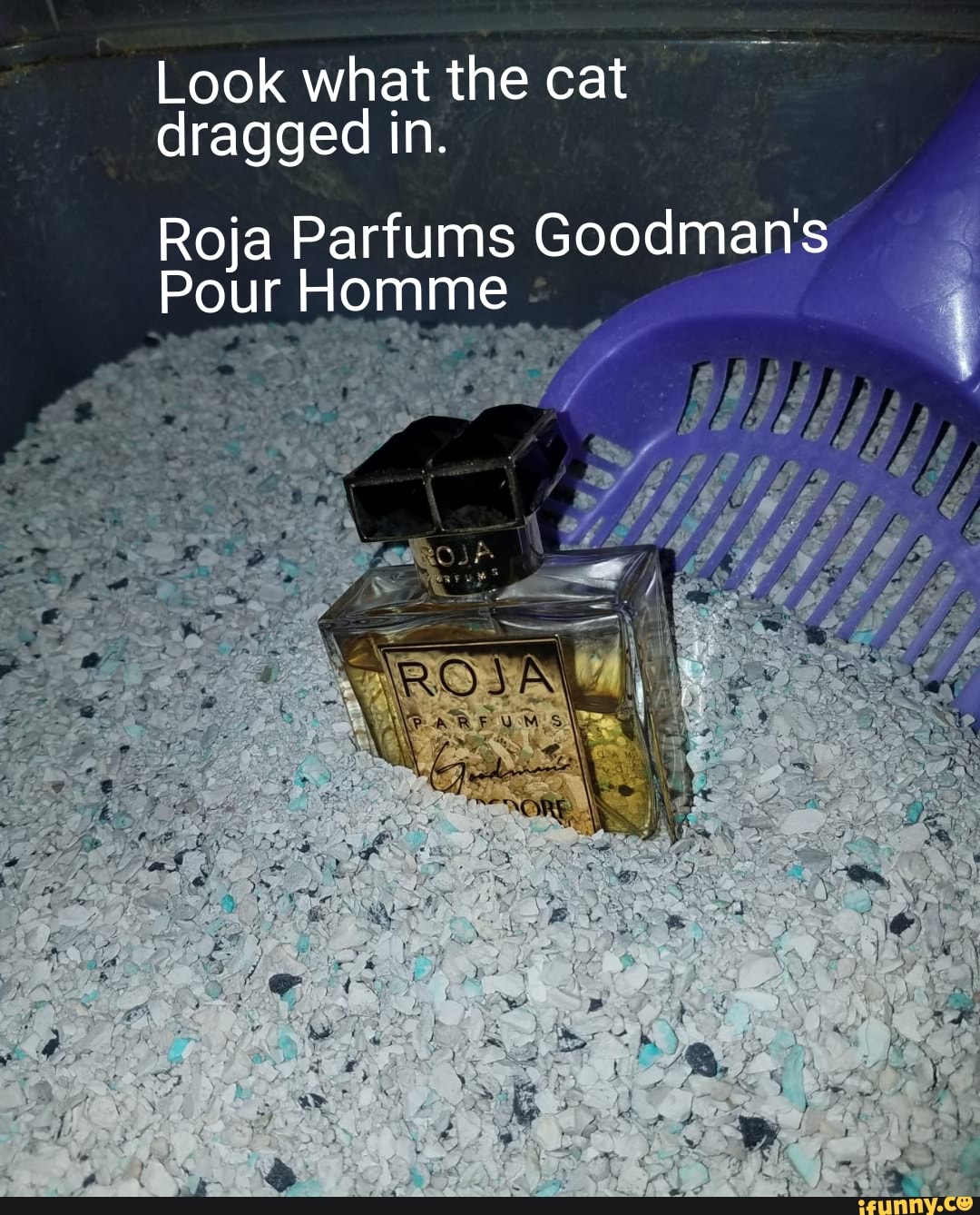 Parfums memes. Best Collection of funny Parfums pictures on iFunny