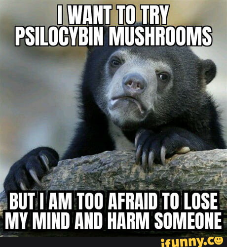 Psilocybin memes. Best Collection of funny Psilocybin pictures on iFunny