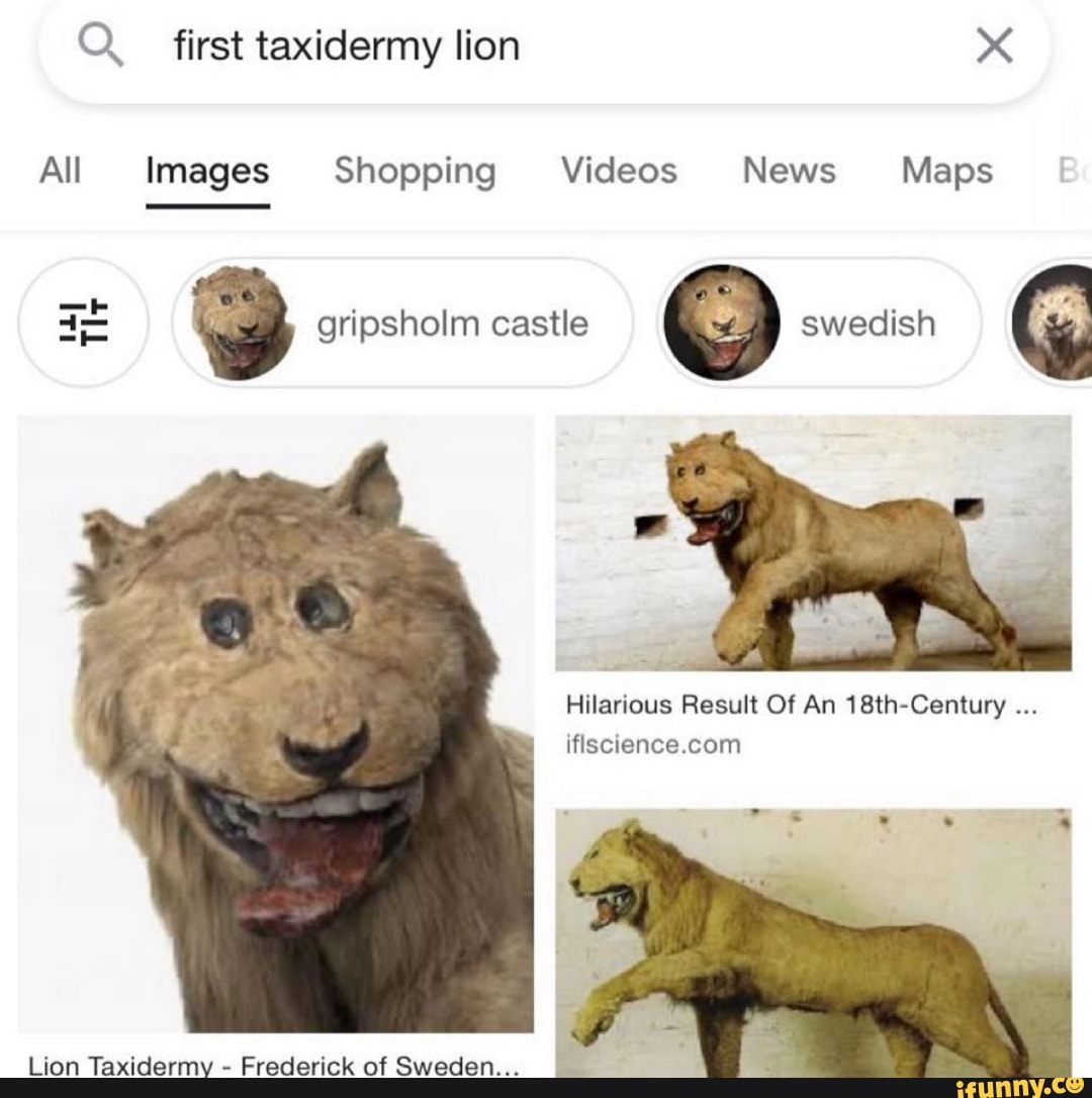 Q. first taxidermy lion All Images Shopping Videos News Maps B ...