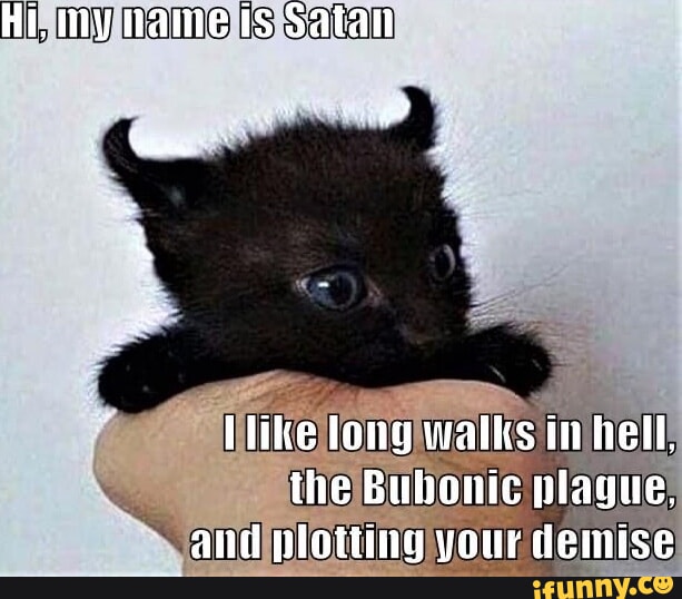 Bubonic memes. Best Collection of funny Bubonic pictures on iFunny