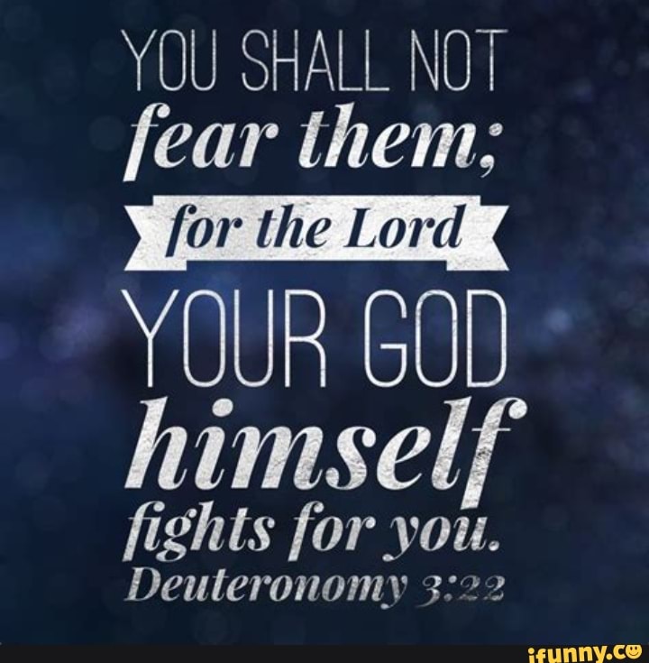 YOU SHALL NOT fear them; for the Lord YOUR GOD himself fights for you ...