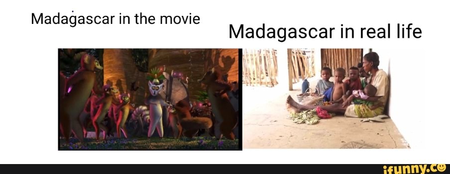 Madagascar in the movie Madagascar in real life - iFunny