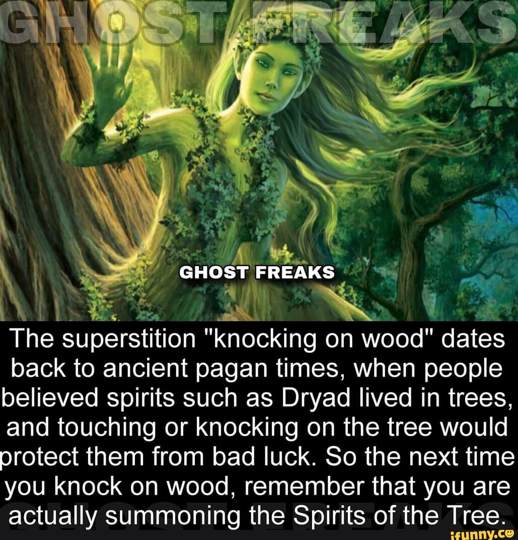 Dryad memes. Best Collection of funny Dryad pictures on iFunny