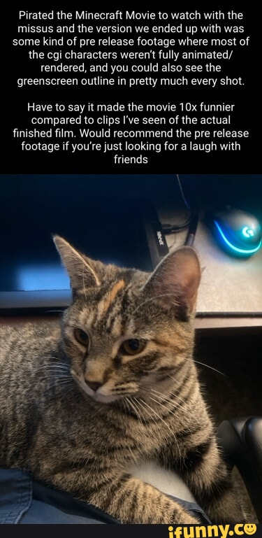 Pirated the Minecraft Movie to watch with the missus and the version we ...