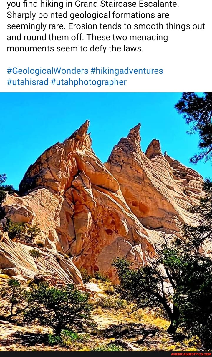You find hiking in Grand Staircase Escalante. Sharply pointed ...