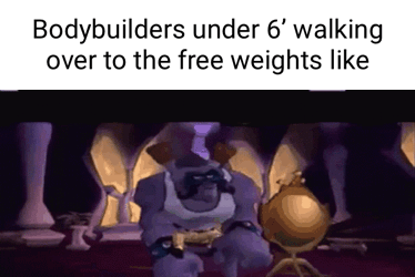 Bodybuilders memes. Best Collection of funny Bodybuilders pictures on ...