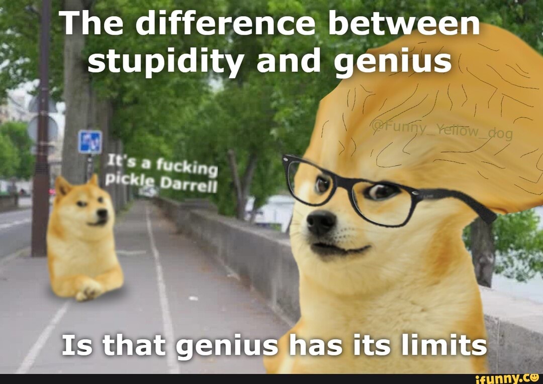 PICKLE RIIIIIICK - The difference between stupidity and genius Is that ...