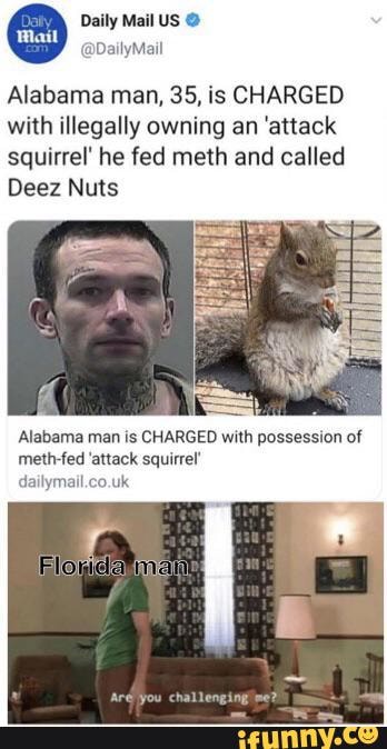 Alabama man, 35, is CHARGED with illegally owning an 'attack squirrel ...