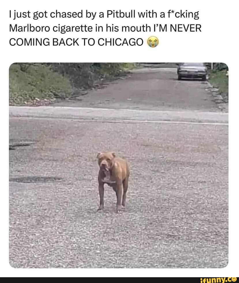 Marlboro memes. Best Collection of funny Marlboro pictures on iFunny