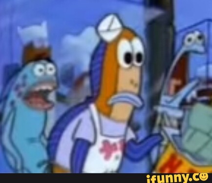 Tostada memes. Best Collection of funny Tostada pictures on iFunny