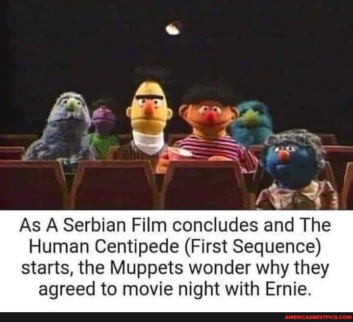 As A Serbian Film concludes and The Human Centipede (First Sequence) starts, the Muppets wonder ...