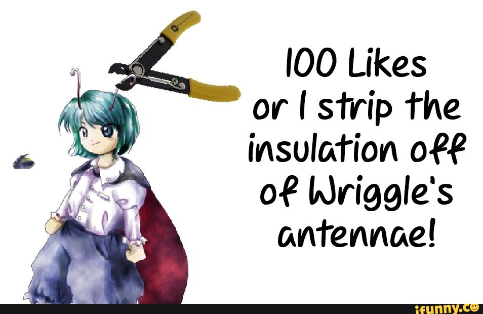 [00 Likes or I strip the insulation of of Wriggle's antennae! - iFunny