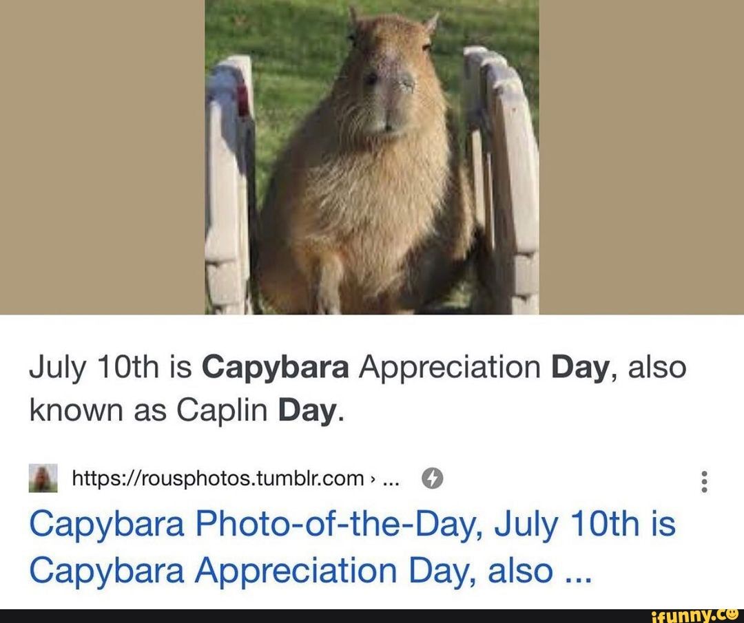 July 10th is Capybara Appreciation Day, also known as Caplin Day ...