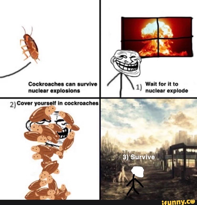 Cockroaches can survive nuclear explosions Wait for it to nuclear ...