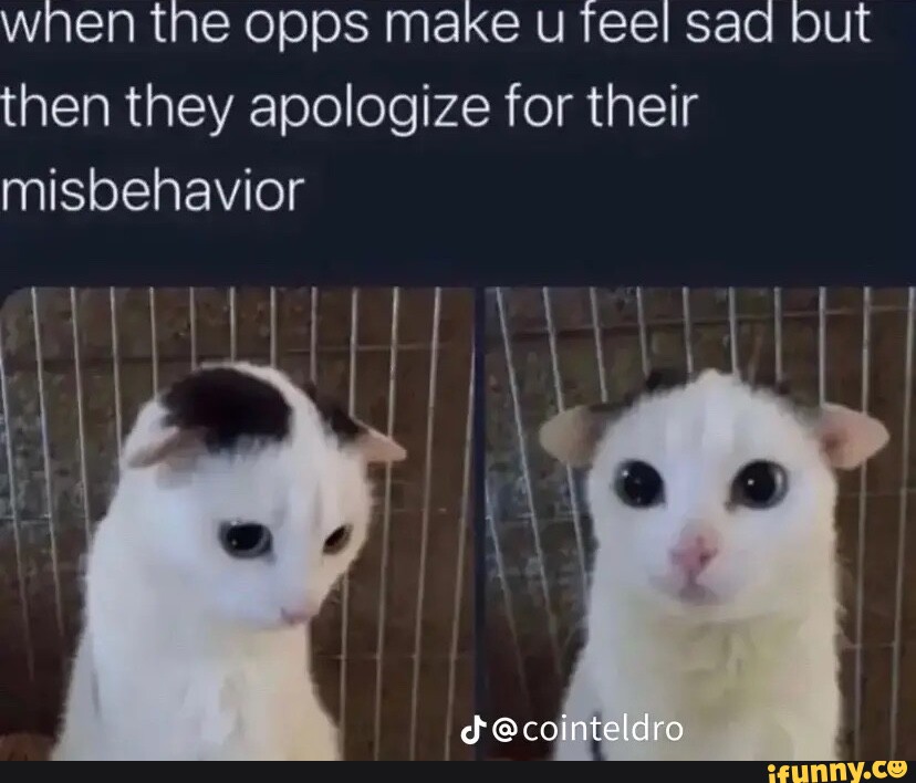 Everyone: Please stop using photoshop - iFunny