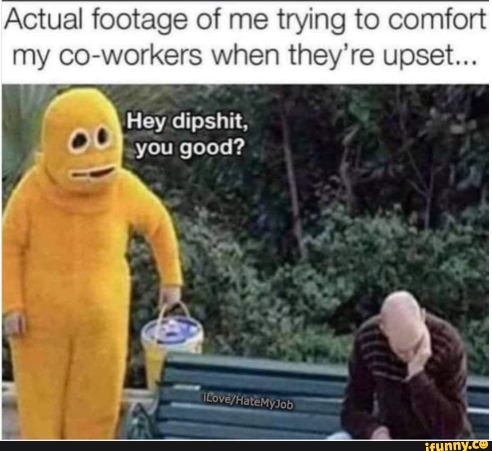 Actual footage of me trying to comfort my co-workers when they re upset ...
