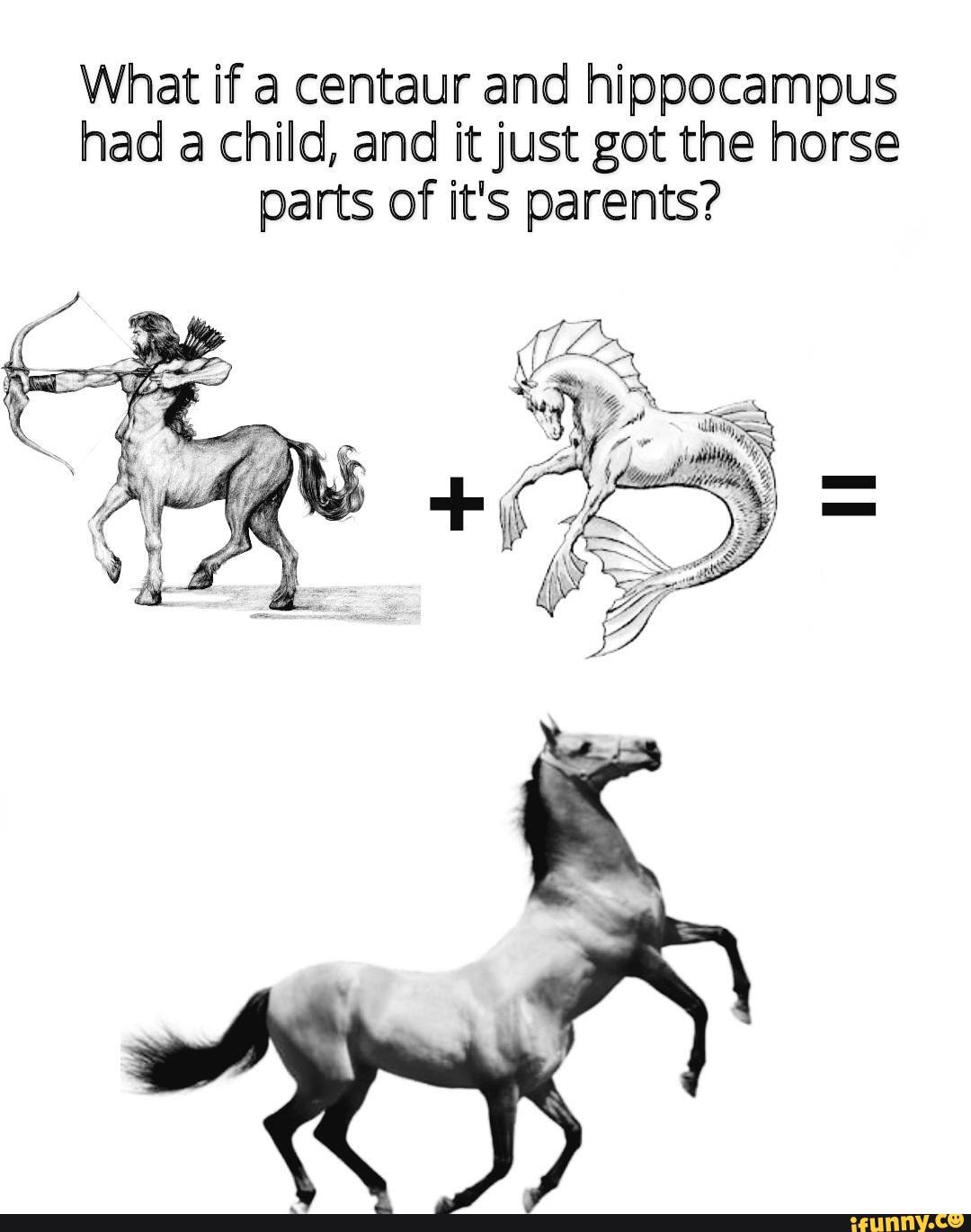 What if a centaur and hippocampus had a child, and it just got the ...