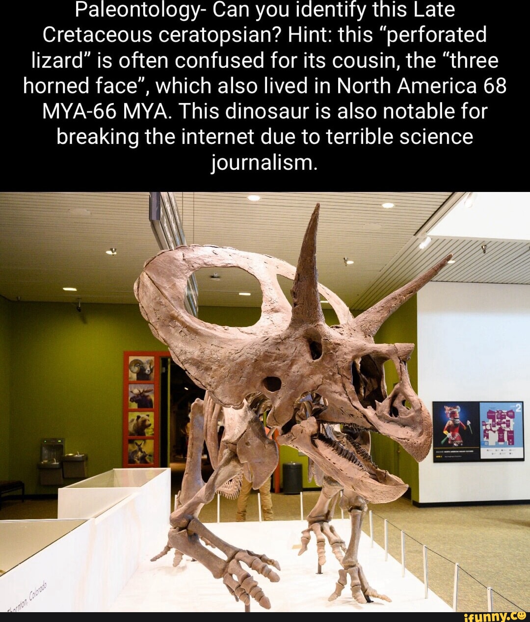 Paleontology- Can you identify this Late Cretaceous ceratopsian? Hint ...