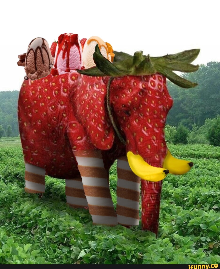 Strawberry memes. Best Collection of funny Strawberry pictures on iFunny