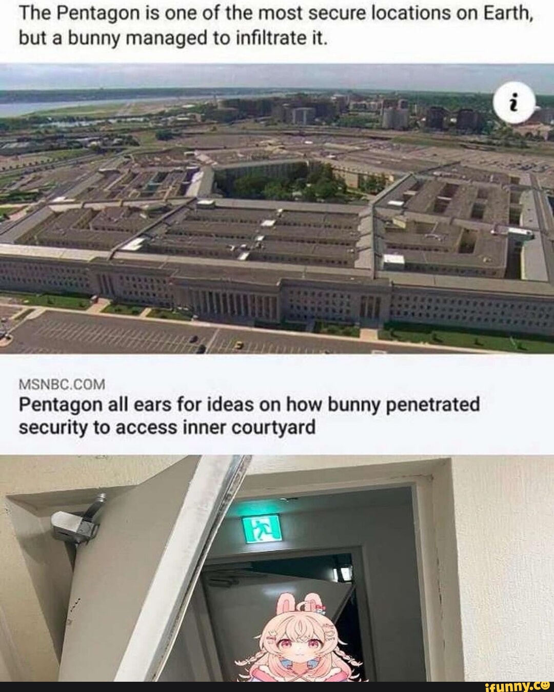 The Pentagon is one of the most secure locations on Earth, but a bunny ...