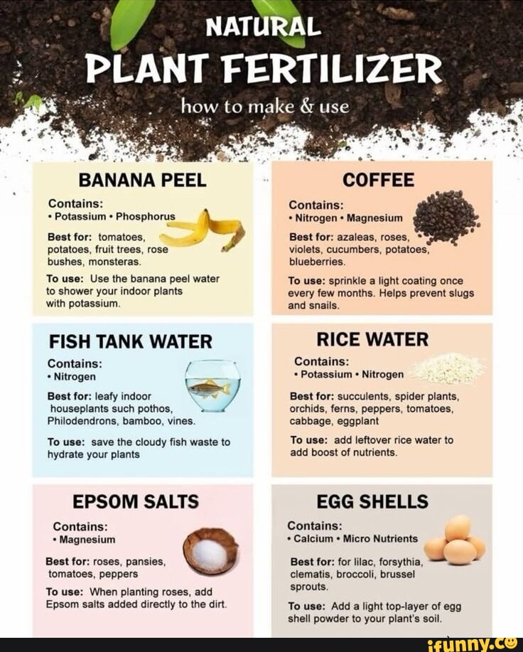 Fertilizer memes. Best Collection of funny Fertilizer pictures on iFunny