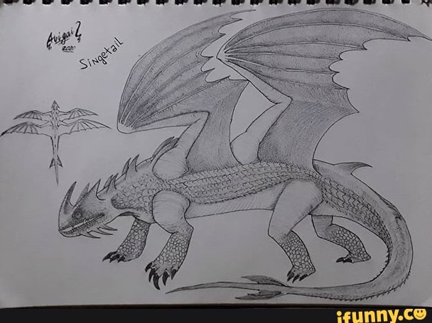 Singetail memes. Best Collection of funny Singetail pictures on iFunny