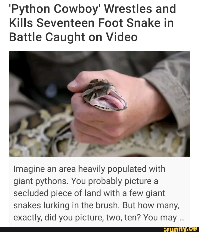 'Python Cowboy' Wrestles and Kills Seventeen Foot Snake in Battle ...