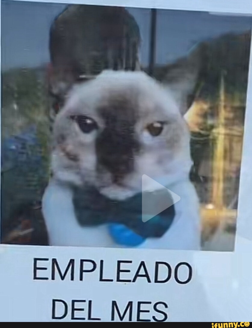 Empleado memes. Best Collection of funny Empleado pictures on iFunny