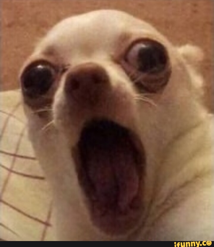 Wowzers memes. Best Collection of funny Wowzers pictures on iFunny