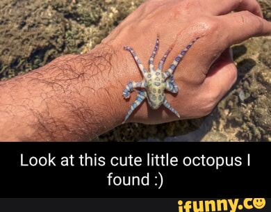 SCP Labrat SCP Signs - SCP Secure. Contain. Protect SCP-039 OBJECT ...