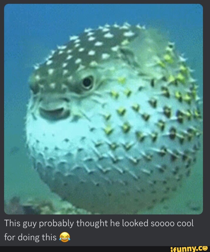 This guy probably thought he looked soooo cool for doing this - iFunny