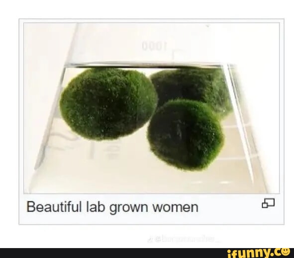 Beautiful lab grown women - iFunny