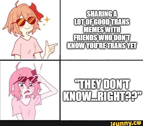 Egg_irl - SHARING A LOT OF GOOD TRANS MEMES WITH FRIENDS WHO DONT KNOW ...
