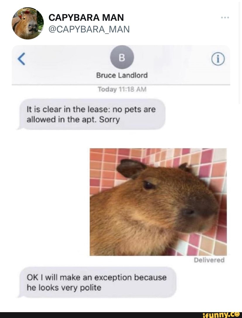 CAPYBARA MAN @CAPYBARA_MAN Bruce Landlord Today AM It is clear in the ...