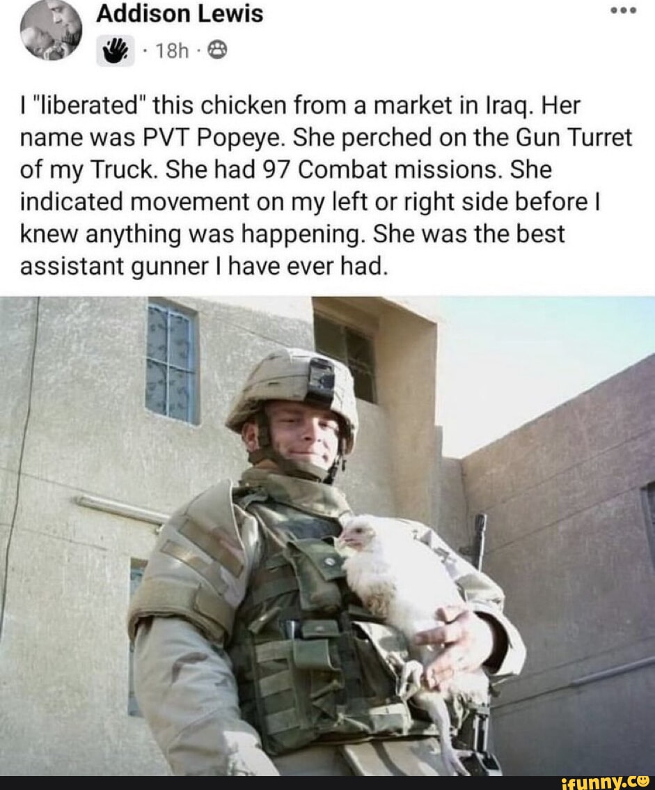 Addison Lewis I "liberated" this chicken from a market in Iraq. Her ...