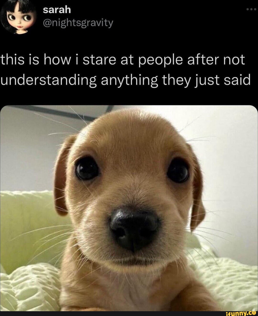 Sarah this is how stare at people after not understanding anything they ...