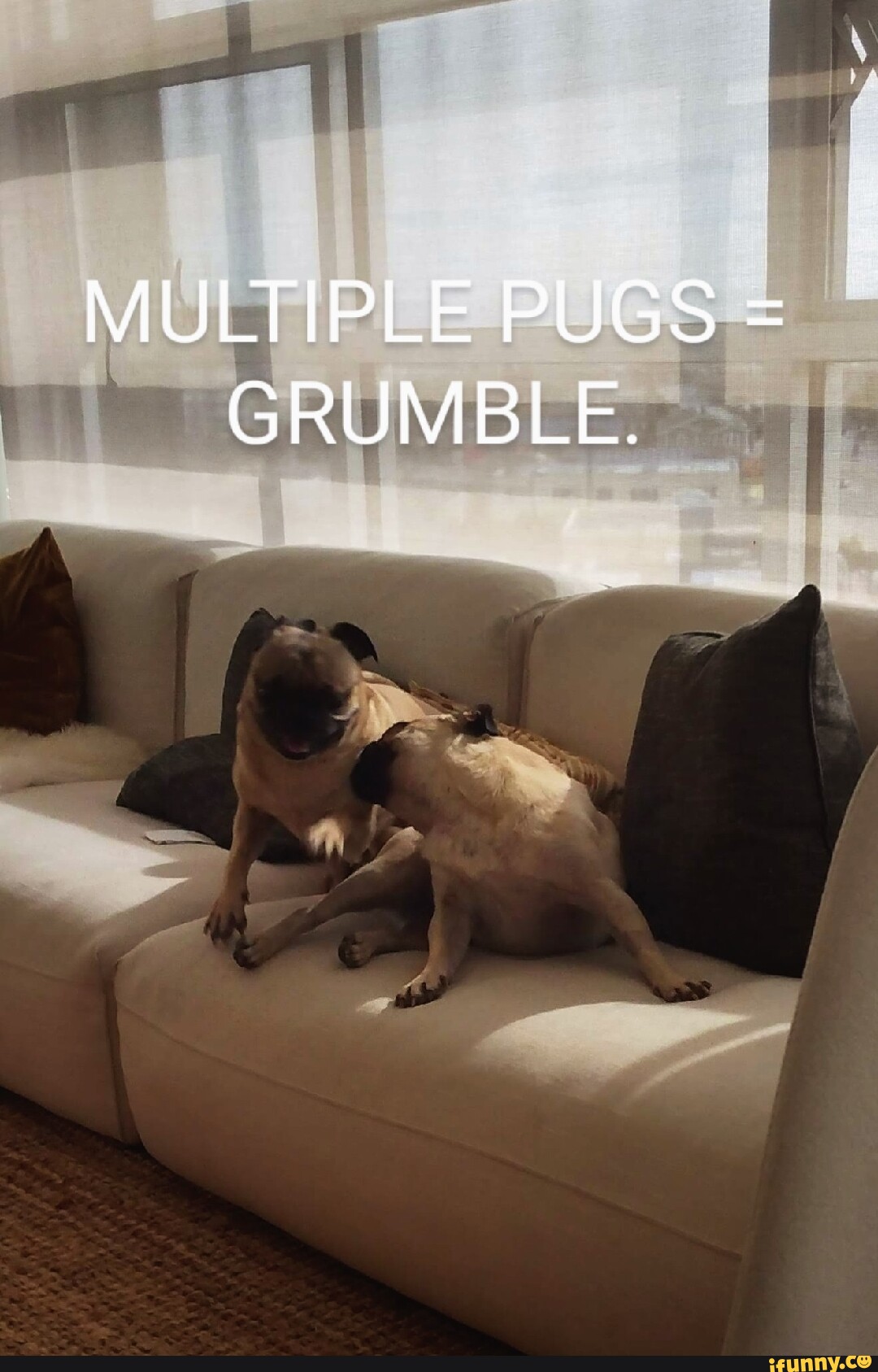 Grumble memes. Best Collection of funny Grumble pictures on iFunny