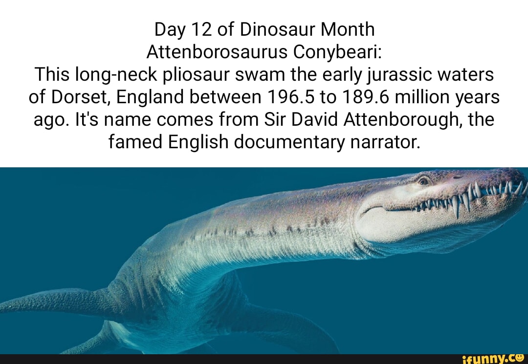Pliosaur memes. Best Collection of funny Pliosaur pictures on iFunny