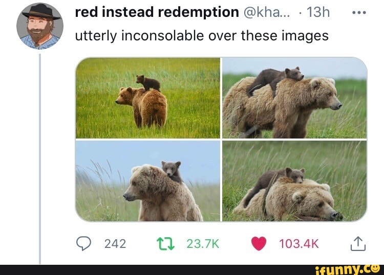 Inconsolable memes. Best Collection of funny Inconsolable pictures on ...