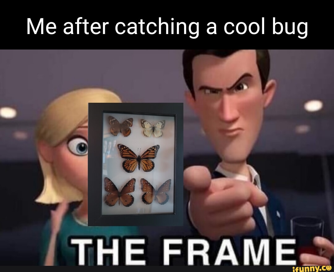 Butterfly memes. Best Collection of funny Butterfly pictures on iFunny