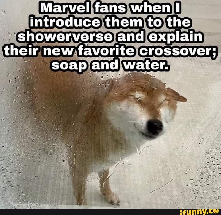 Showerverse memes. Best Collection of funny Showerverse pictures on iFunny