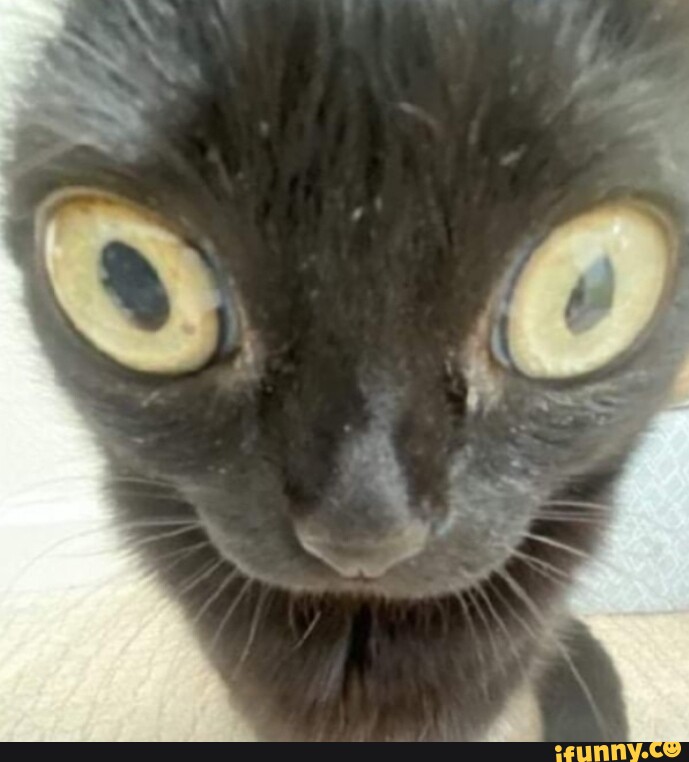 Picture memes LMbJZu3NA by PoopSock - iFunny