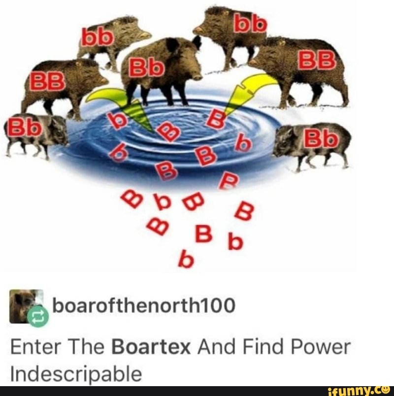 Screaming crying waiting for this character banner to end [Boar visits ...