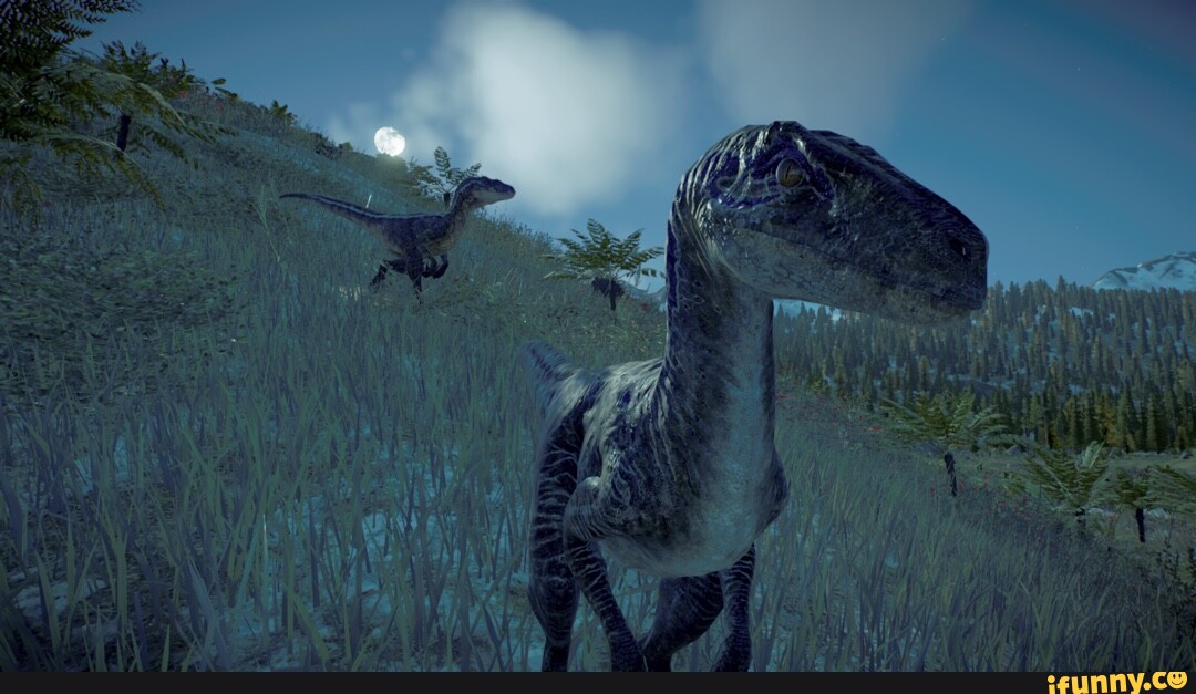 Jp3 memes. Best Collection of funny Jp3 pictures on iFunny