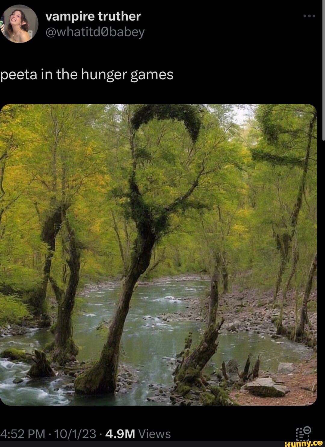 Truther vampire @what peeta in the hunger games st PM- -4.9M Views - iFunny