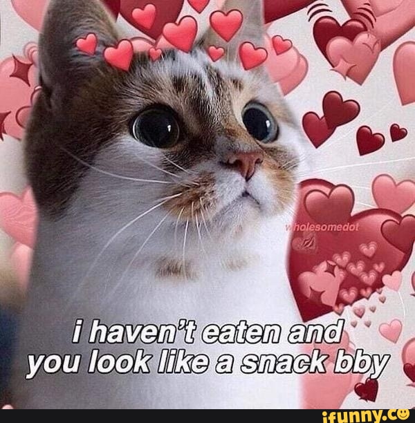 Snack memes. Best Collection of funny Snack pictures on iFunny