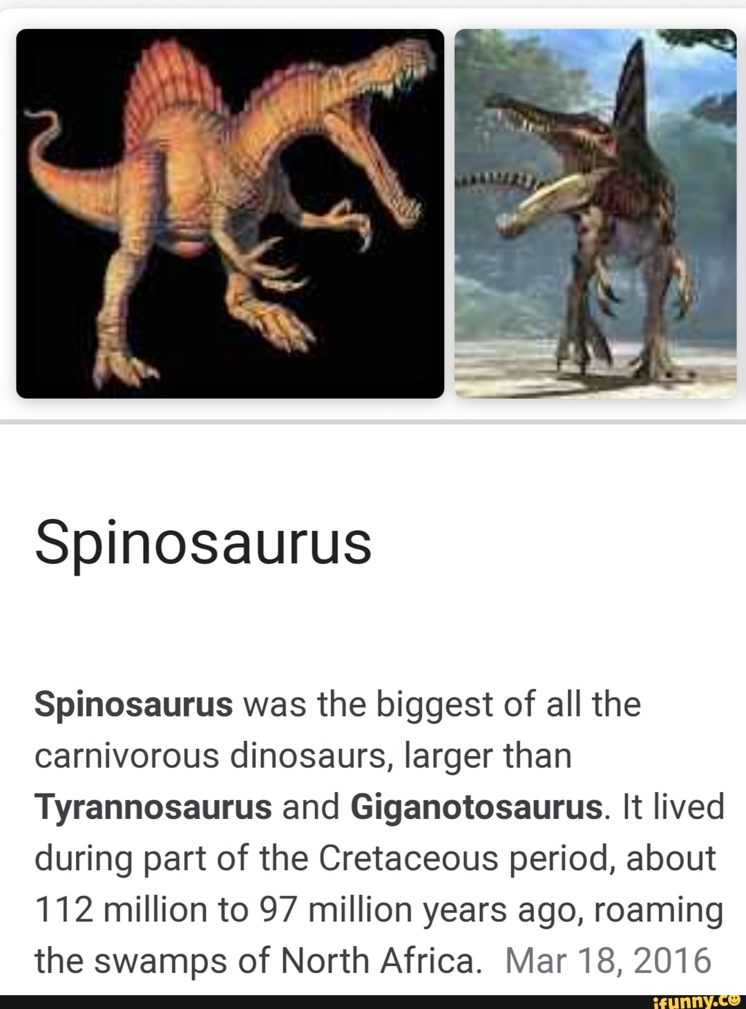 Spinosaurus Spinosaurus was the biggest of all the carnivorous ...