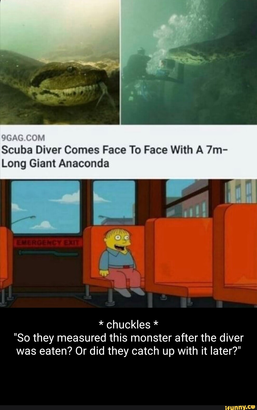 Scuba memes. Best Collection of funny Scuba pictures on iFunny