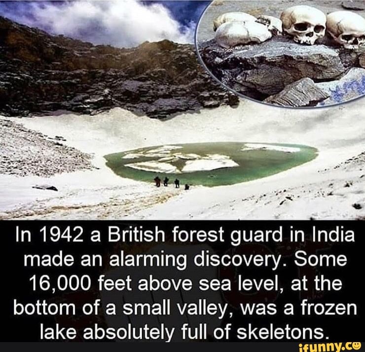 In 1942 a British forest guard in India made an alarming discovery ...